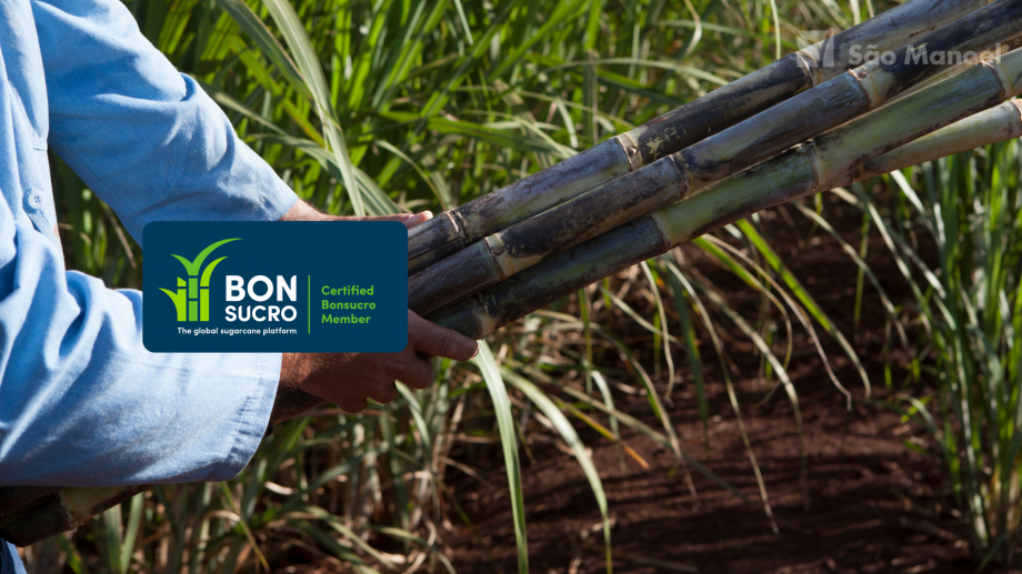 Usina São Manoel mantem certificação Bonsucro em processo de auditoria ...